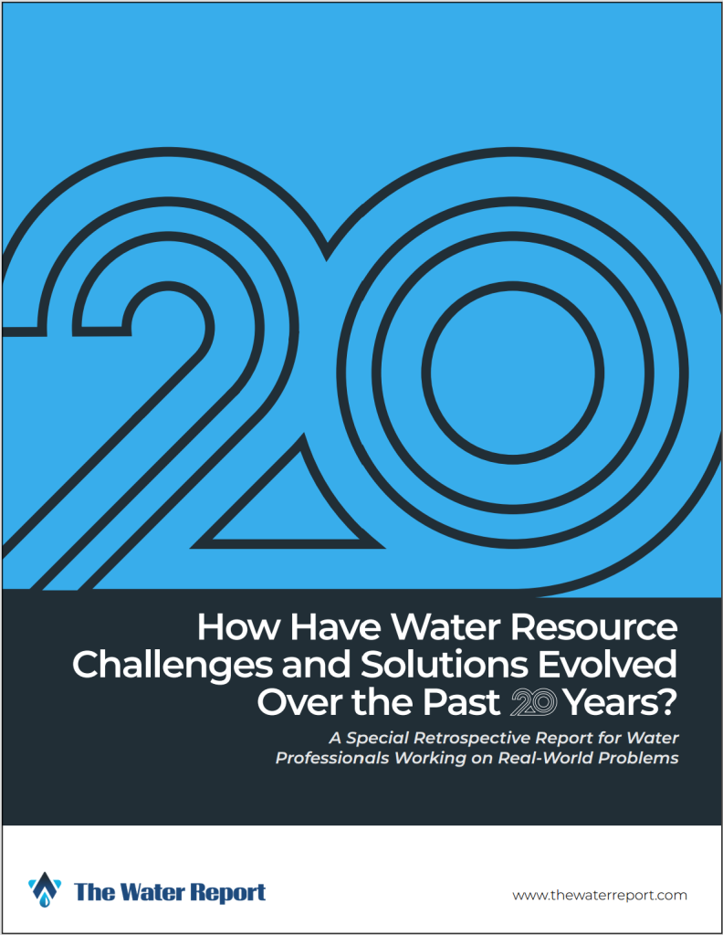 White Paper: A 20-Year Retrospective - The Water Report
