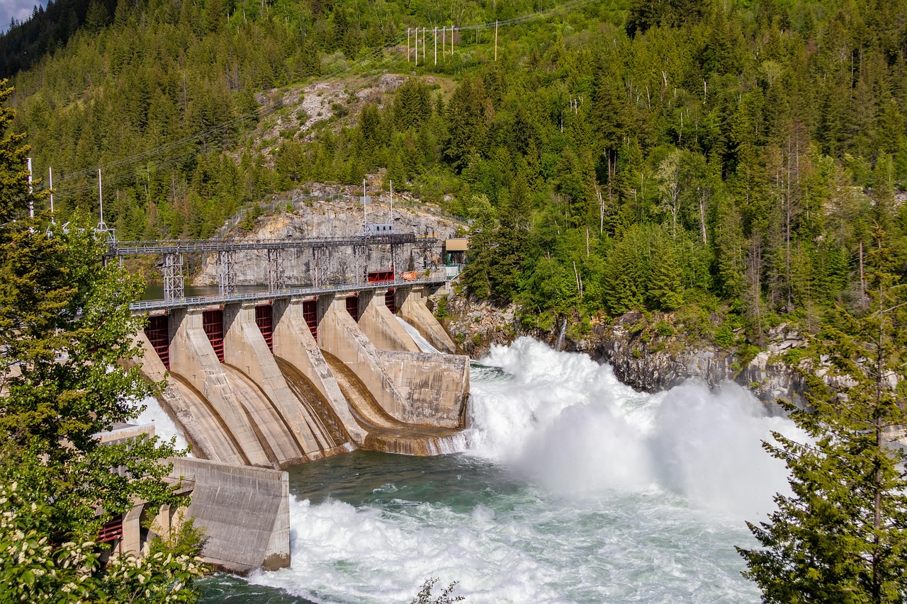 Removing Dams Can Improve Climate Resilience - The Water Report