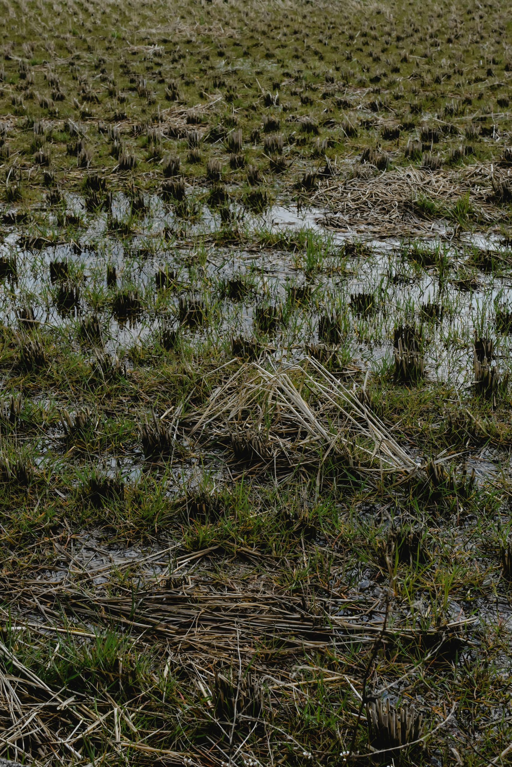 Wet Soils Amplify Flooding - The Water Report