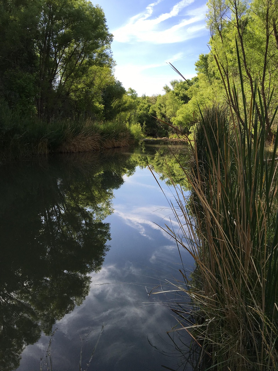 Verde River EIS Begins - The Water Report